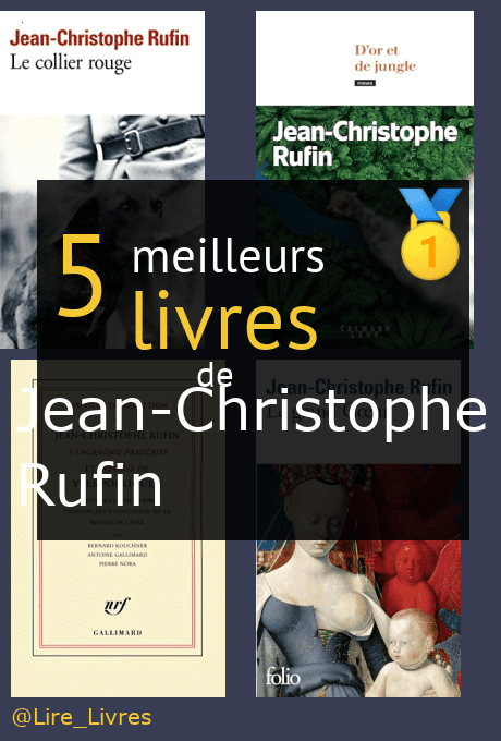 ≡ Les meilleurs livres de Jean-Christophe Rufin →【Comparatif 2025】