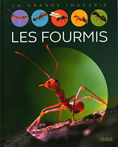 ≡ Les meilleurs livres sur le fourmis →【Comparatif 2023】